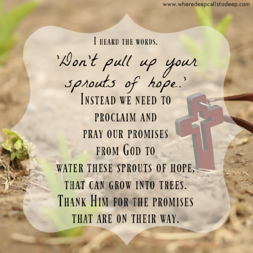 What Exactly is Hope? A Hebrew Root Word Study – Where Deep Calls to Deep